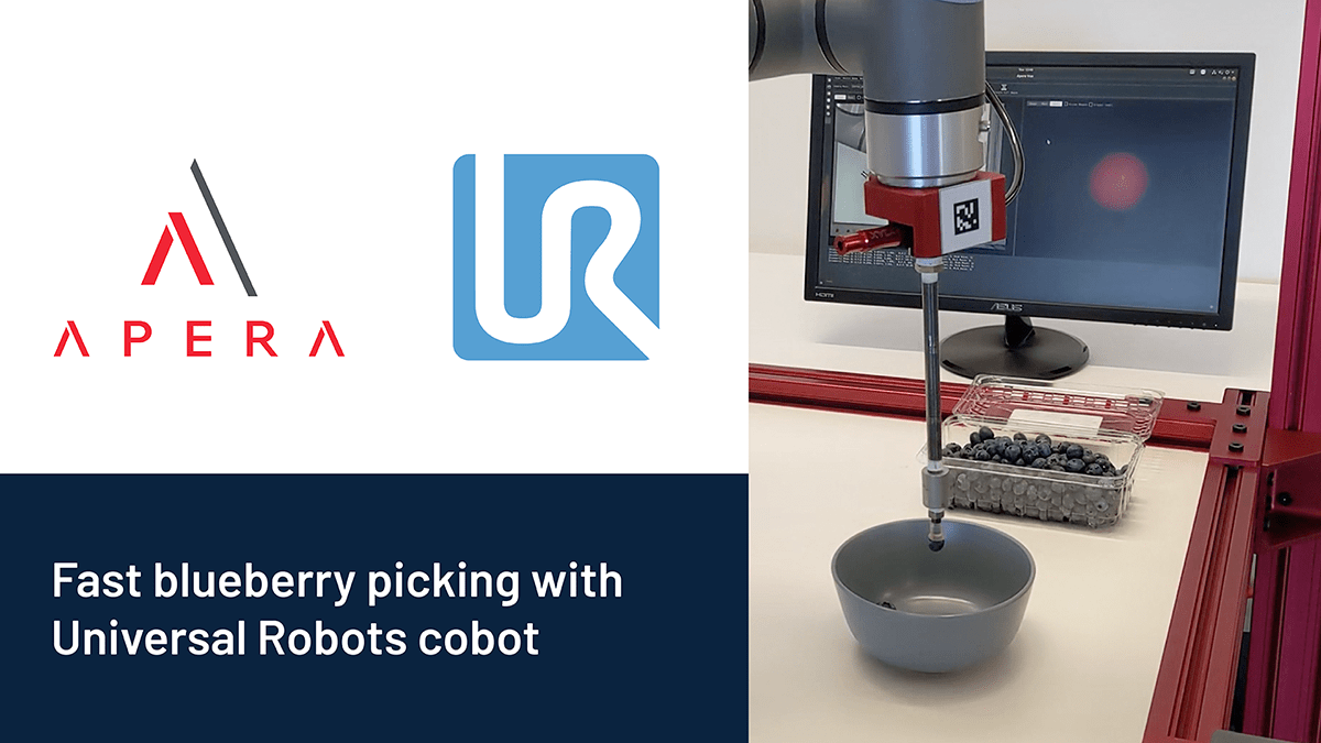 Watch: Fast blueberry pick and place using UR cobot | Apera AI